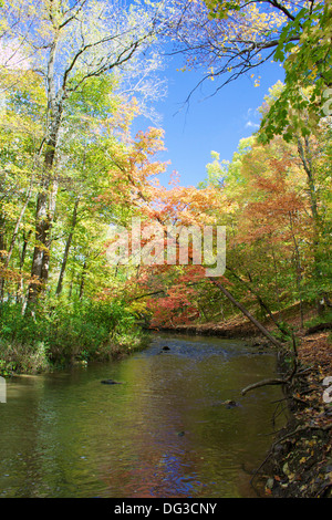Waterfall Glen Forest Preserve Stock Photo - Alamy