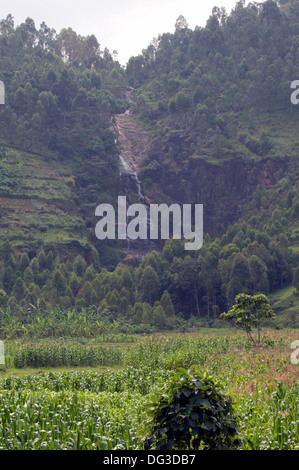 Waterfall with trees cliffs Rural Rwanda Land of 1000 Hills woodland ...