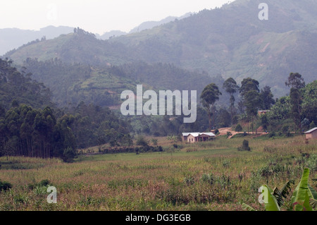 Rural Rwanda Land of 1000 Hills farms banana and hills with terracing ...