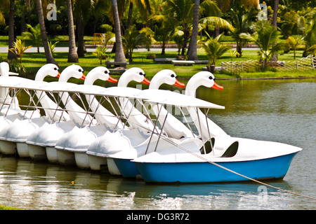 swan spin boat Stock Photo - Alamy