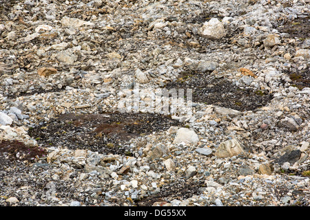 Patterned ground and stone circles formed above permafrost in the high ...