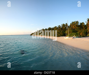 Embudu beach in the maldives Stock Photo - Alamy