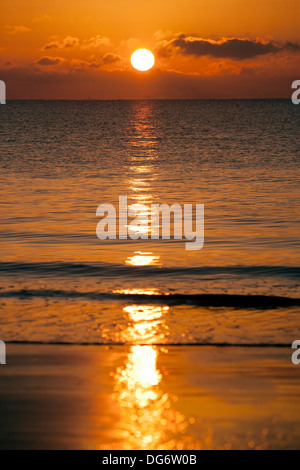 Sunrise and Driftwood Stock Photo - Alamy