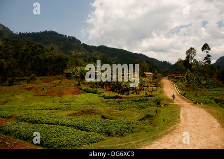 Bweyeye Village, Rusizi District, Rwanda Stock Photo - Alamy
