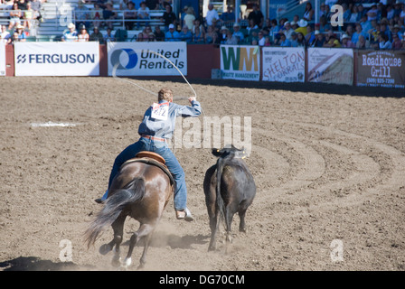 Cowboy Lassoing Horse Stock Photo - Alamy