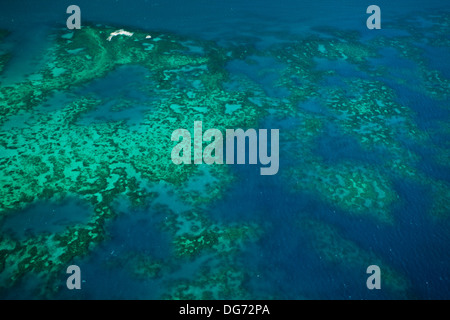 Aerial view of Arlington Reef colorful coral formations underwater in ...