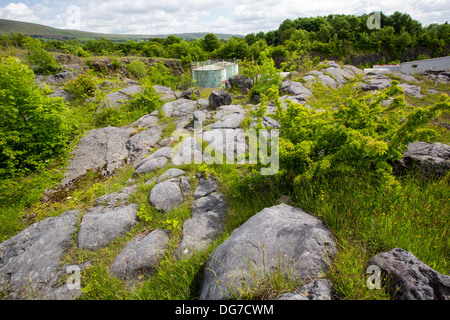 Salthill Quarry nature reserve in Clitheroe, Lancashire, UK Stock Photo ...