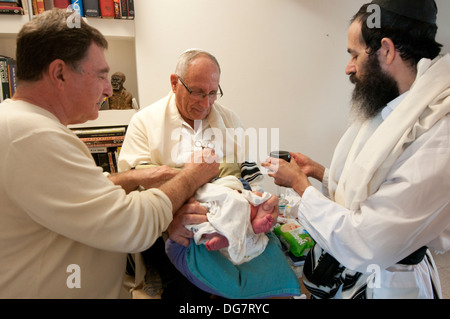 Circumcision - Brit Mila Ceremony The Mohel performs the rite Stock ...