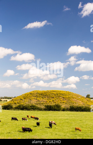 Skipsea Castle, seat of the Lords of Holderness, in Skipsea, Yorkshire ...