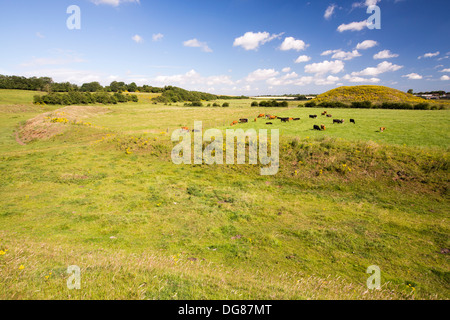 Skipsea Castle, seat of the Lords of Holderness, in Skipsea, Yorkshire ...