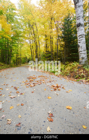 Jefferson Notch Road in the Low and Burbank's Grant, New Hampshire USA ...