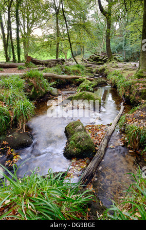 Forest stream running over mossy rocks Stock Photo - Alamy