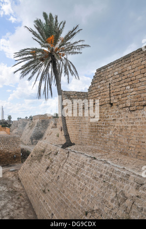 The Crusaders moat around Caesarea 10 m deep and 15 m wide. Caesarea ...