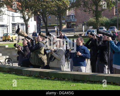 Birdwatchers at Hartlepool UK Stock Photo - Alamy