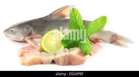 Rita fish of Southern Asia Stock Photo - Alamy