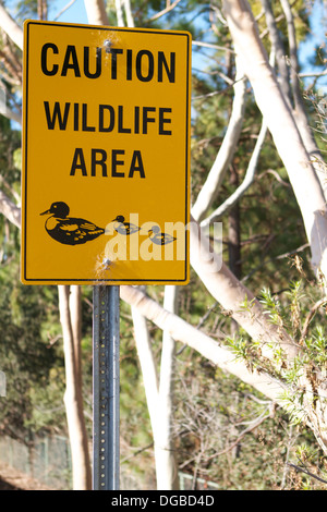 A yellow caution wildlife area sign depicting a duck with her babies ...