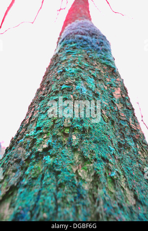 Tree with saturation Stock Photo - Alamy