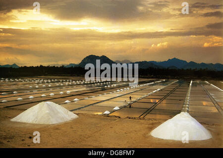 salt pans at Tamil Nadu, India Stock Photo: 55649629 - Alamy