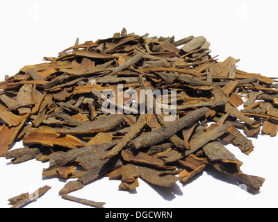 True cinnamon comes from the inner bark of a tree called Cinnamomum ...