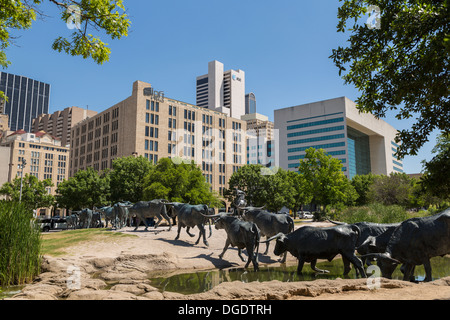 The Cattle Drive Sculpture at Pioneer Plaza in Dallas, Texas Stock ...