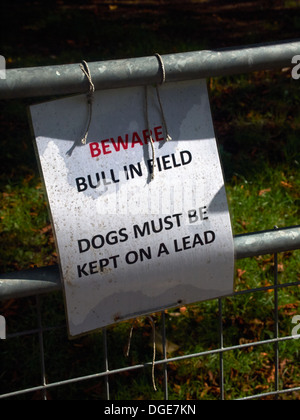 Bull in the field! Caution, sign on farm gate, Chipping, Lancashire ...