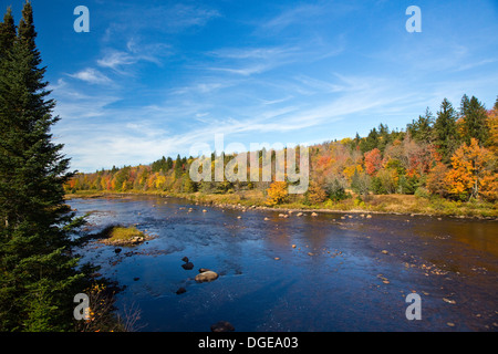 Shallow river with autumn scenery along the shore Stock Photo - Alamy
