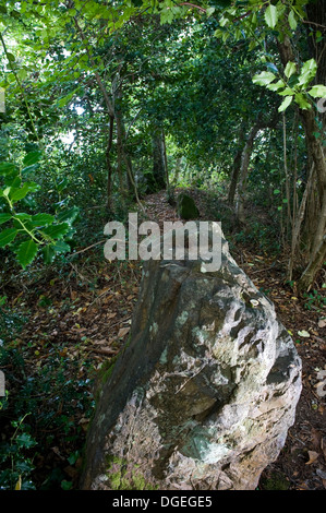 Rempstone Bronze Age ruined stone circle near Corfe Castle on the Isle ...
