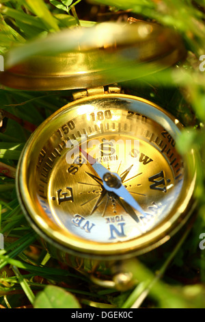 Golden compass on green grass Stock Photo - Alamy