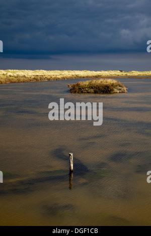 The RSPB Nature reserve and beach at Titchwell Marsh Norfolk Stock ...