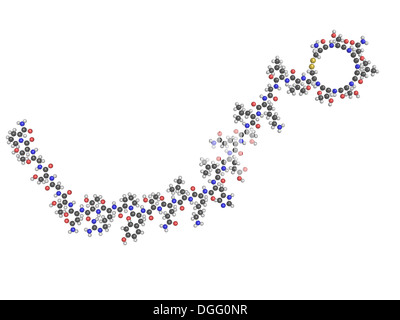 Salmon calcitonin peptide hormone drug, chemical structure. Used in ...
