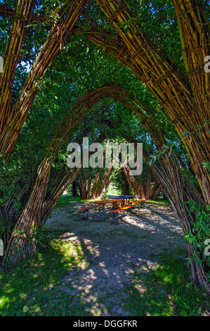 Schlepzig Willow Cathedral, designed by Marcel Kalberer, Spreewald ...