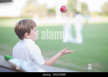 Boy catching cricket ball Stock Photo - Alamy