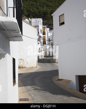 Pueblos Blancos white village of Alcaucin, Malaga province, Spain Stock ...