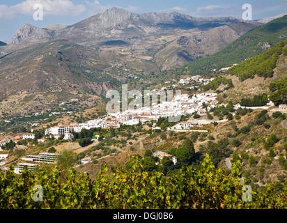 Pueblos Blancos white village of Alcaucin, Malaga province, Spain Stock ...