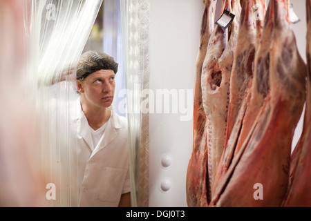 The butcher in a meat freezer Stock Photo - Alamy