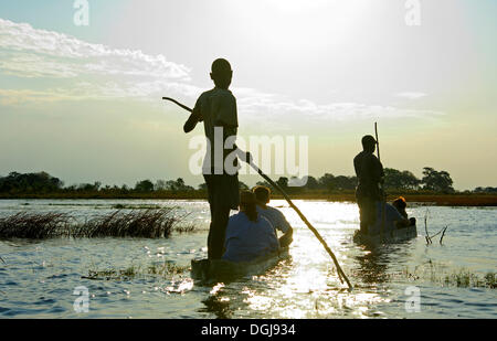 Boatsmen with tourists in traditional Mokoro dugout canoes, excursion ...