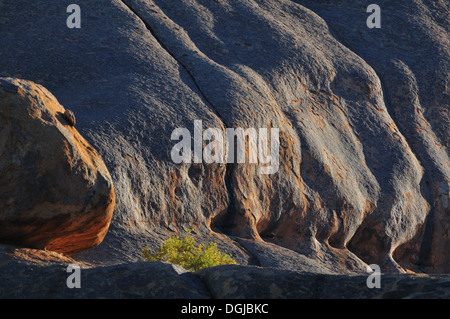 Early morning at Ameib ranch, Namibia Stock Photo - Alamy
