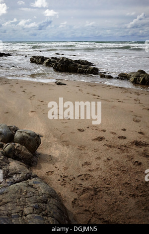Boulders on beach at Welcombe Mouth. North Cornwalll Stock Photo - Alamy
