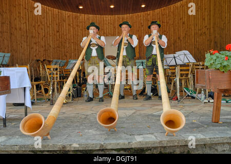 Alphorn alpenhorn traditional musical instrument of Switzerland Stock ...
