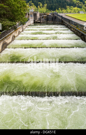Hydroelectric dam and salmon fish ladder in Pitlochry at the south end ...