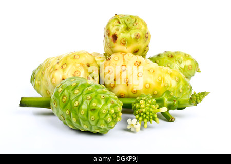 Exotic Fruit - Noni Stock Photo - Alamy