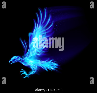 Flaming Hawk. Illustration on black background for design Stock Photo ...