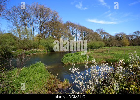 England Dorset Lower Bockhampton A hamlet situated on the River Frome ...