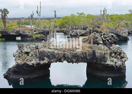Volcanic lava bridge at Los Tuneles, Isabela Island, Galapagos Islands ...