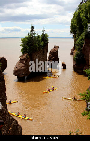 Canada New Brunswick Kayakers paddling through Hopewell Rocks at high ...