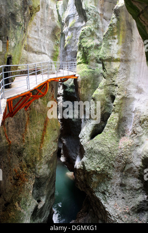 France, Haute Savoie, Lovagny, the Gorges du Fier, a very narrow and ...