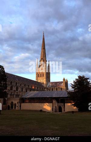 Summer, nightime view of Norwich Cathedral, Norwich City, Norfolk ...