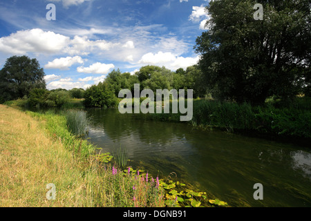 Summer, river Nene near Oundle town, Northamptonshire County, England ...
