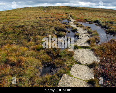 Offa's Dyke Path on the Hatterall Ridge, Black Mountains, Powys Stock ...