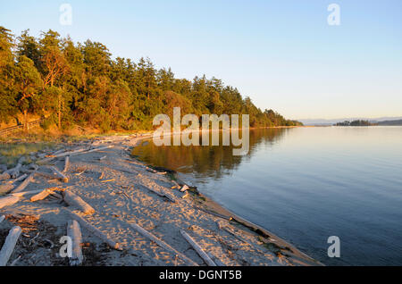 Sidney Spit , Gulf Islands National Park, boats in anchorage, British ...